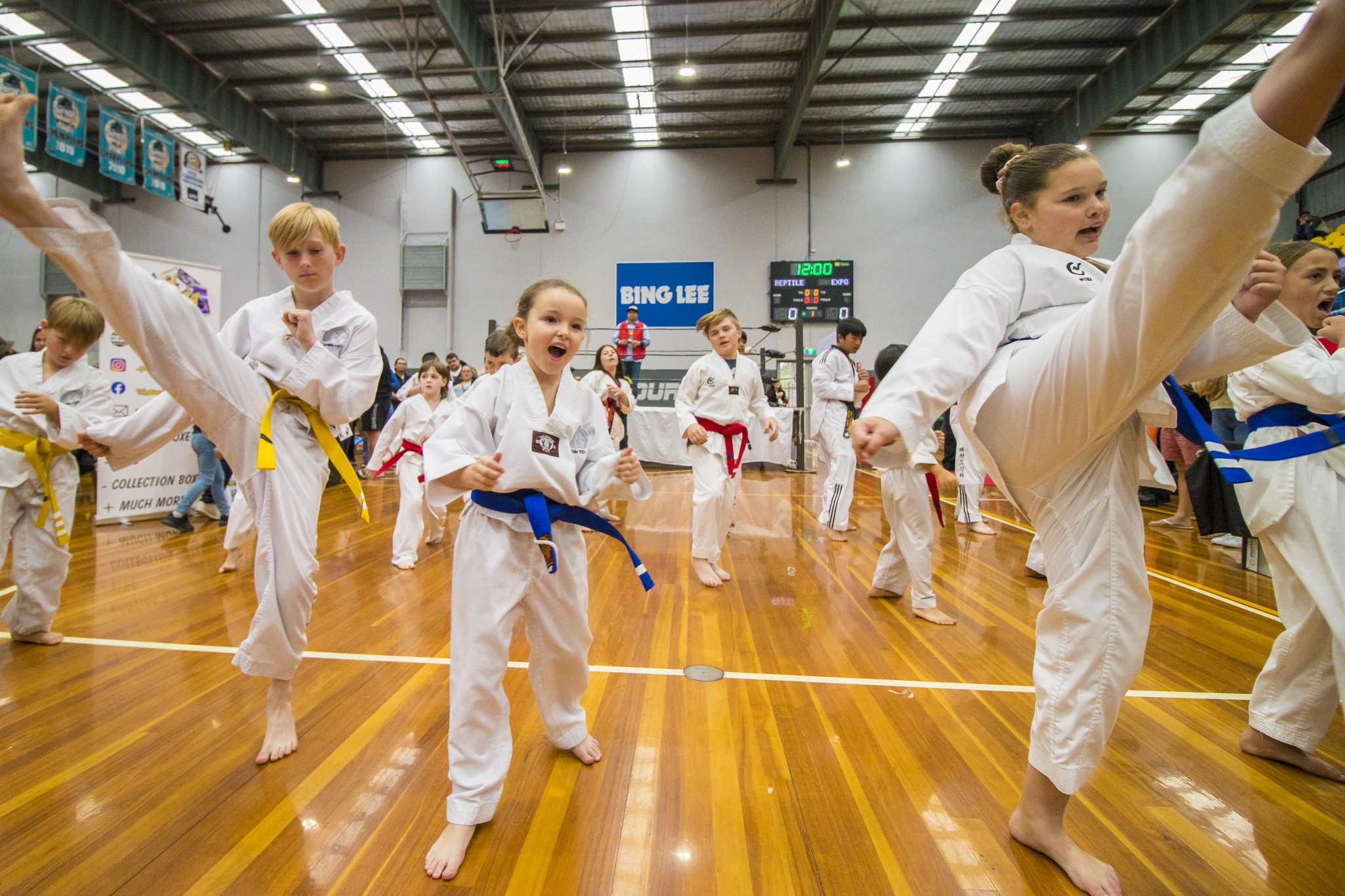 Collector Con – Penrith, Newcastle and Campbelltown – Collector Con